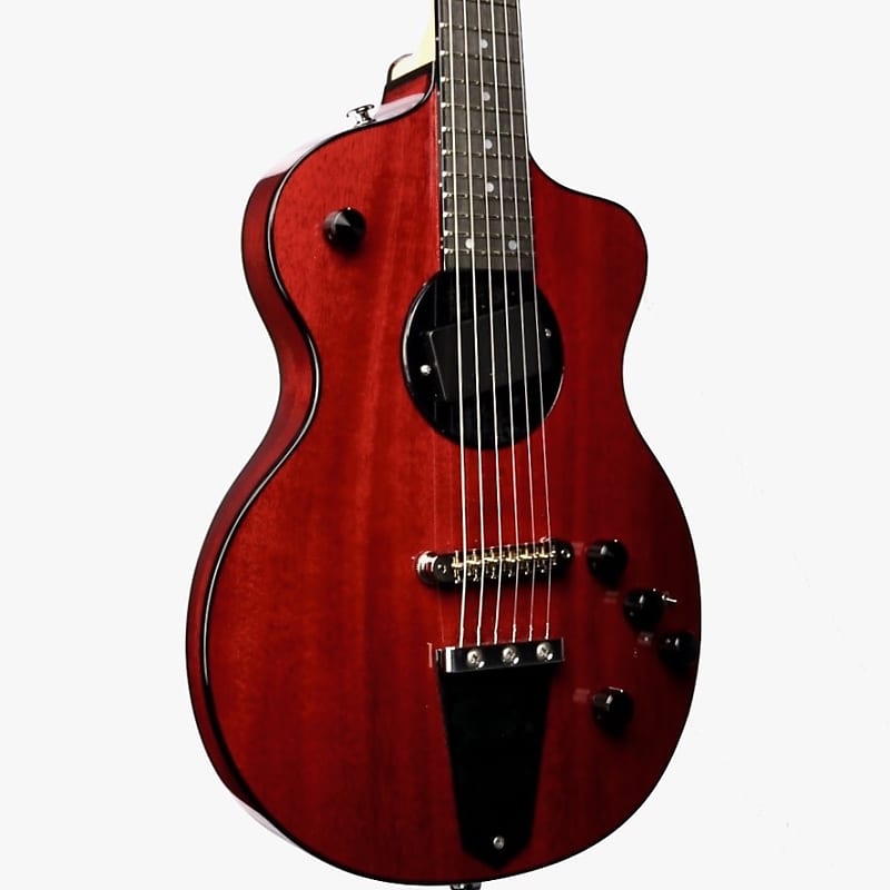 Rick Turner Model 1 Deluxe Lindsey Buckingham with Full | Reverb