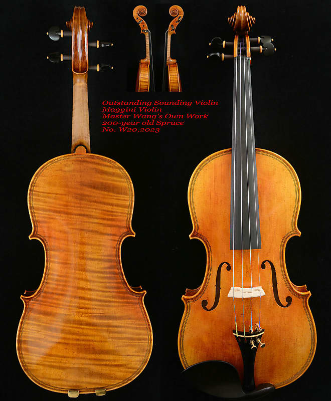 Outstanding Violin Maggini Violin Model Master Wang's Own | Reverb