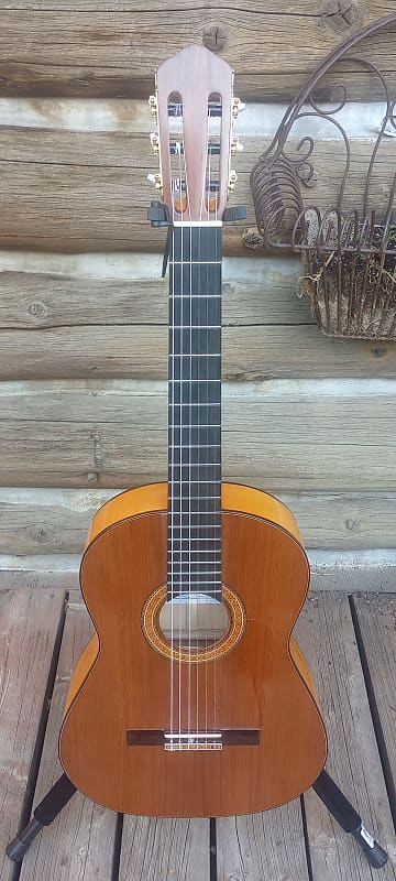 Darren Hippner Blanca 2024, -VIDEO - Barbero tribute, redwood | Reverb