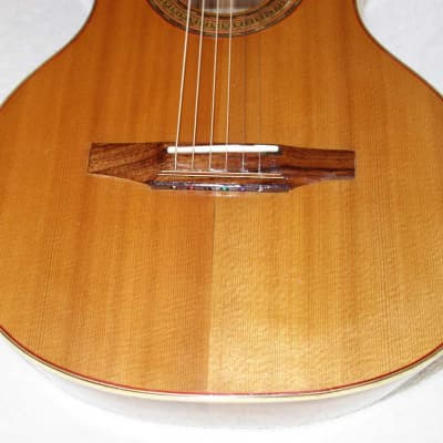 1999 Michael Turko "Tennessee Tornado " Parlor Guitar | Reverb