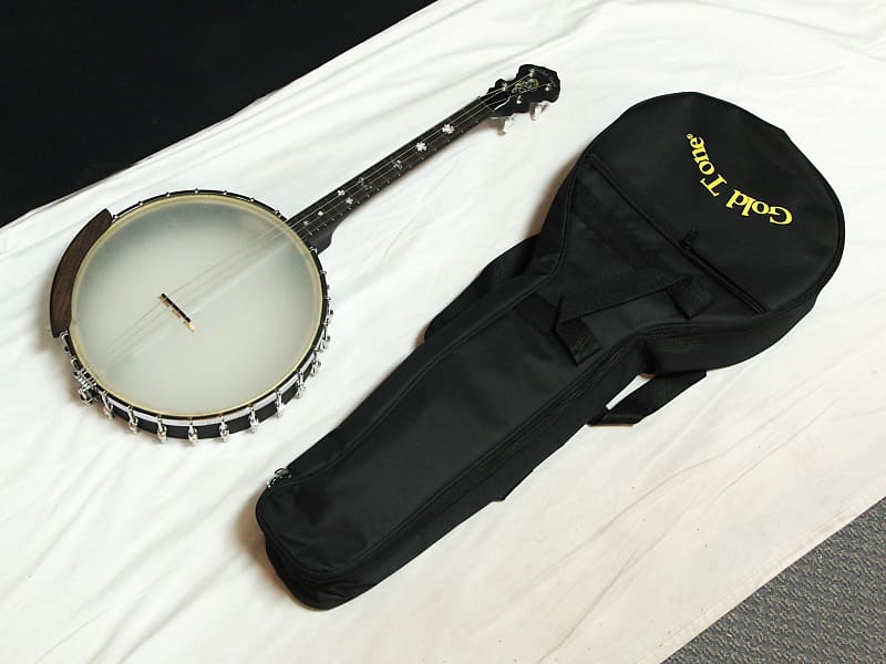 GOLD TONE IT-17 Irish Tenor Banjo NEW - 17 Frets 12" rim | Reverb