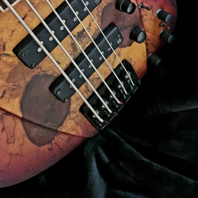 SJ Custom Guitars 5 string bass ,Spalted Tamarind, Flame | Reverb