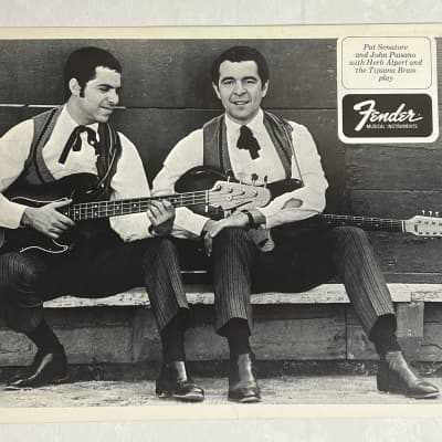 Fender Pat Senatore John Paisano 60s 8x19 glossy promo photo | Reverb