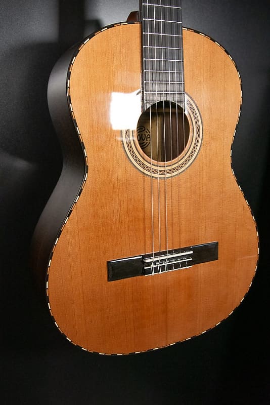 Calnova Classical Guitar C1 | Reverb