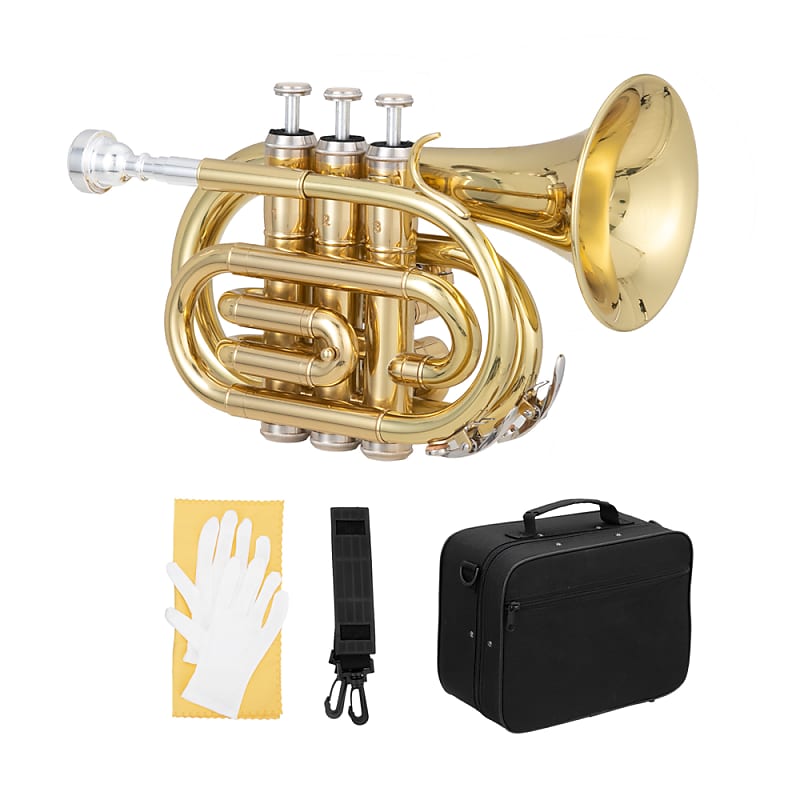 Glarry Brass Bb Pocket Trumpet Mini Trumpet with 7C | Reverb