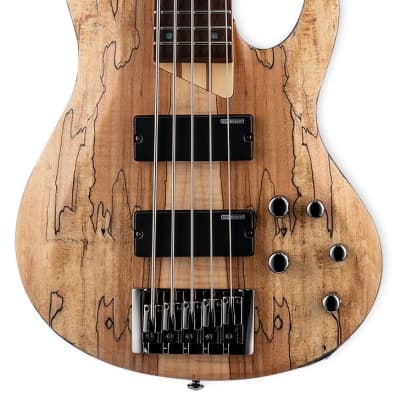 ESP LTD LB205 Spalted Maple Top 5-String Electric Bass Guitar | Reverb