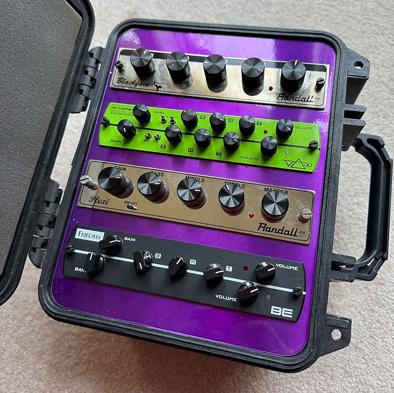 Burns Delta Synergy Module case SLO purple | Reverb