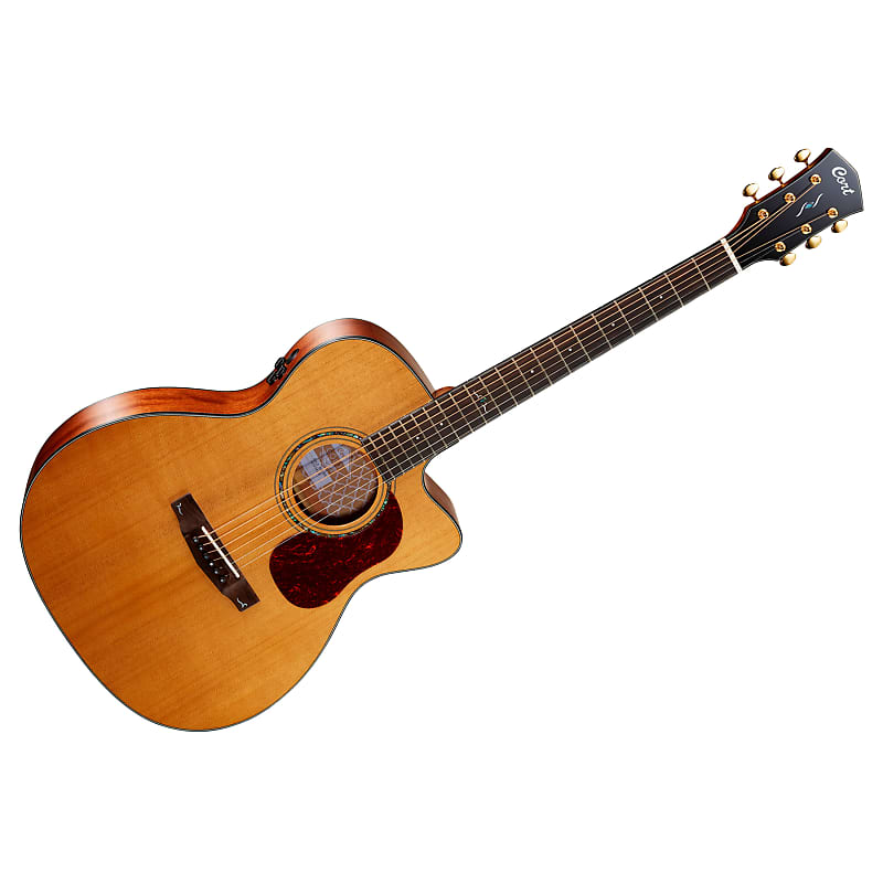 GOLD OC6 Natural Cort | Reverb