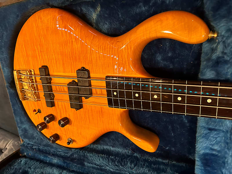 Rare Pedulla Buzz Fretless Electric Bass - Maple, Excellent, | Reverb