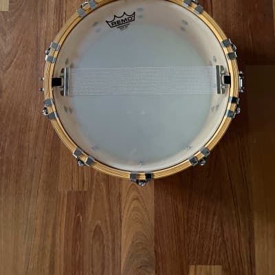 Taye 14" x 5" studio maple wood hoop snare drum | Reverb
