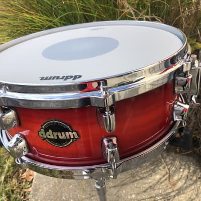 ddrum Dominion Ash 4pc Kit Copper Sparkle | Reverb