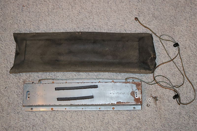 Vintage Original 1965 Blackface Fender Reverb Tank Assembly | Reverb