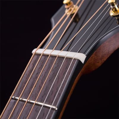 Cort Gold Series A6 Auditorium w/ Fishman Flex Blend | Reverb