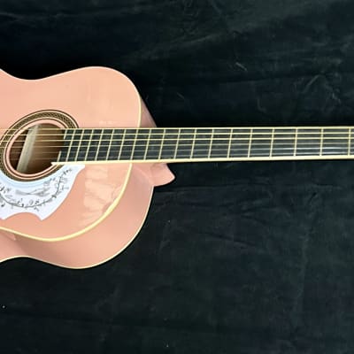 Rogue Acoustic - Pink | Reverb