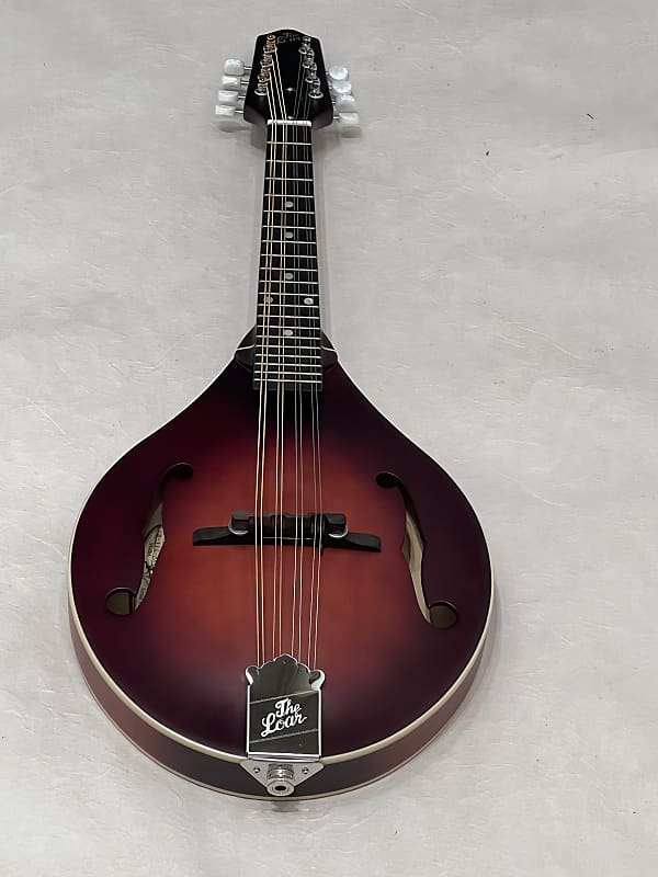 The Loar LM-110E Honey Creek A-Style Acoustic Electric | Reverb