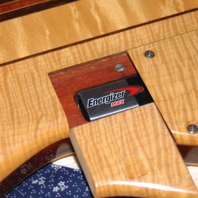 1993 Scott Ambush 5-String Bass | Reverb