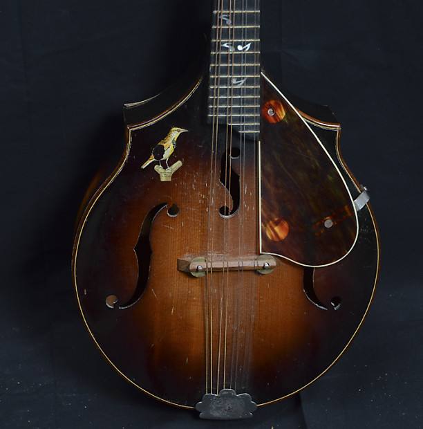 Lark Senior Mandolin 1940s | Reverb