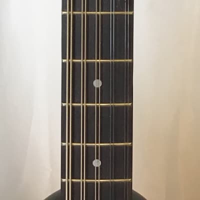 MORTone 10 string electric mandocello, octave mandolin, | Reverb