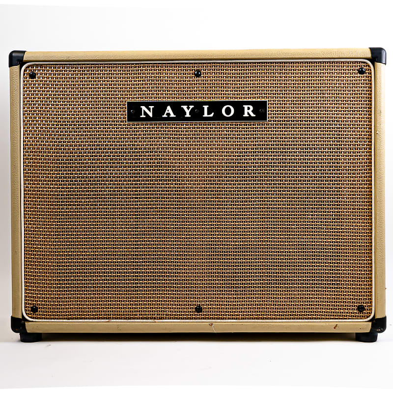 Naylor Electra-Verb 38 *Rare 2x12 Model* Dallas, Texas Era | Reverb