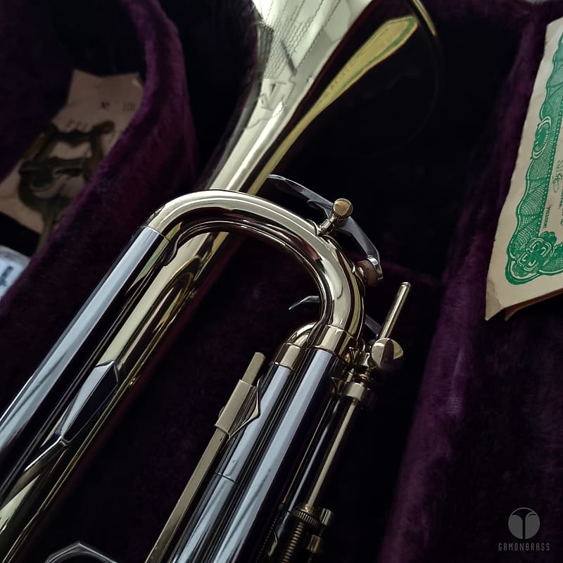 The Martin Handcraft Imperial CUSTOM ? trumpet case | Reverb