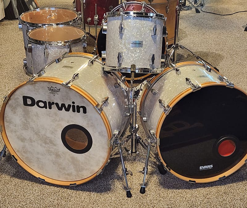 Darwin SOLID MAPLE SHELLS 90-94 - WHITE MARINE PEARL | Reverb