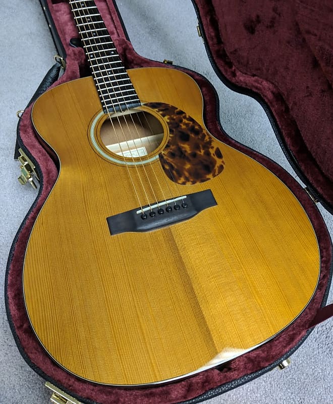 Recording King RO-T16 Acoustic, w/shipping & Deluxe case | Reverb