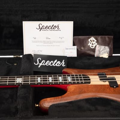 Spector USA Custom NS2 Bass Guitar - Walnut Burl With EMG | Reverb