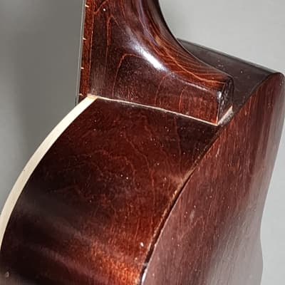 Stella Steel String - F-64 - 1960's - Natural | Reverb