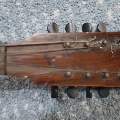 Vintage 1900s Washburn Mandolin Bowlback Project Butterfly | Reverb