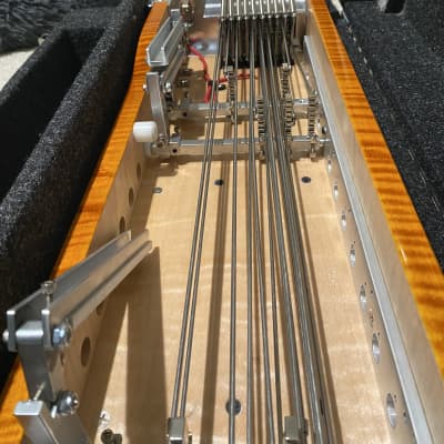 Williams Pedal Steel Guitar 2022 | Reverb