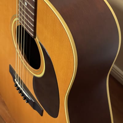 Maton CW80D/6 1980 - Satin | Reverb Australia