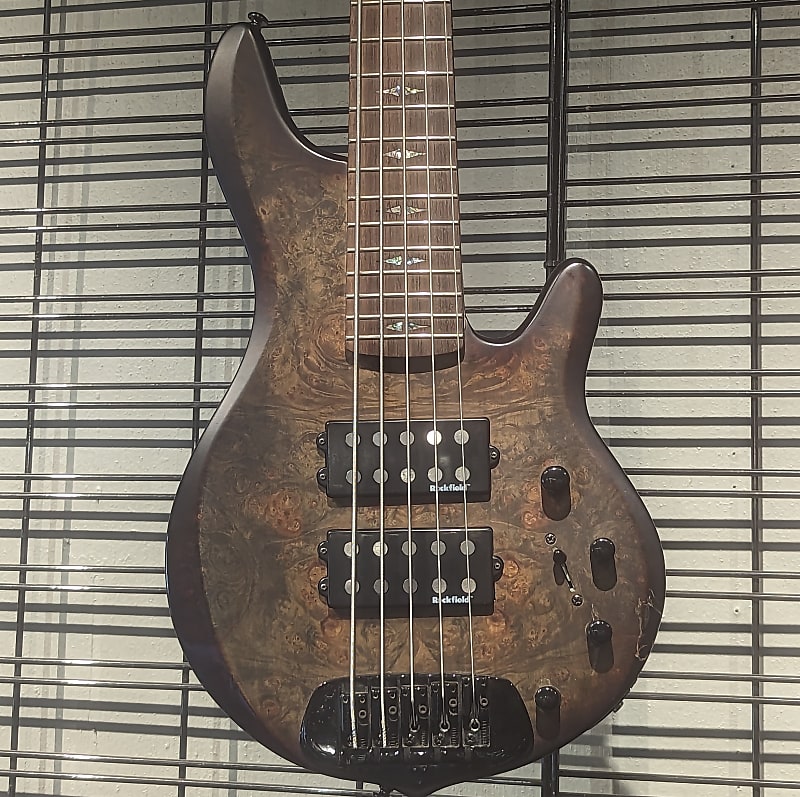 (16372) Traben Chaos Attack 5 String Bass | Reverb
