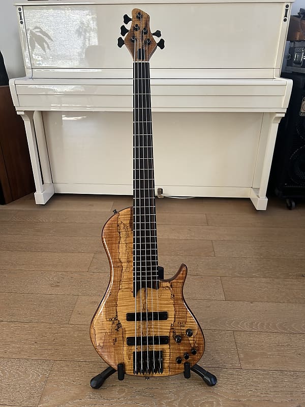 Shuker Singlecut 5 strings | Reverb