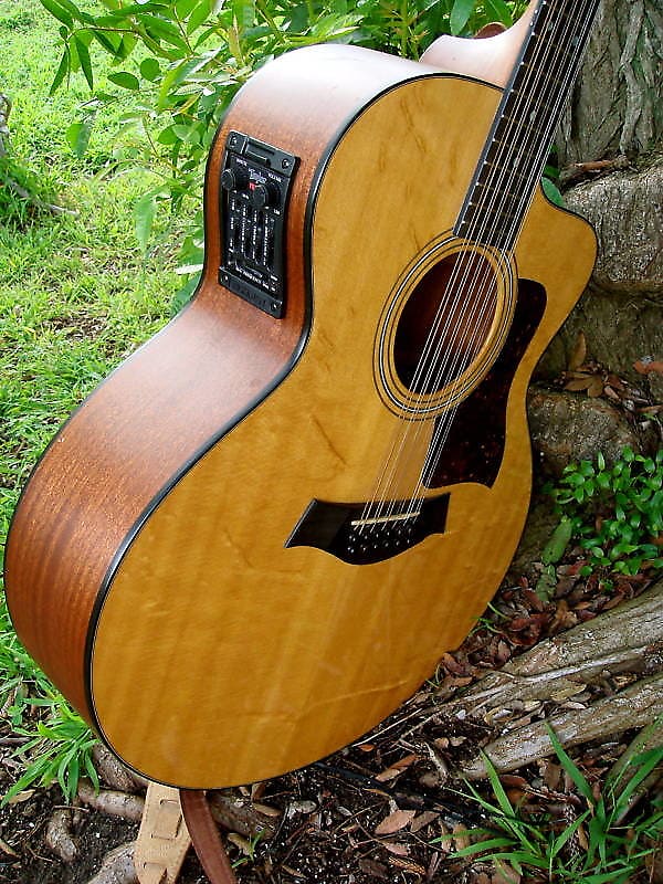 Taylor 355ce 12 string 2001 with Fishman electronics | Reverb
