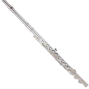 Ravel 202SP Student Flute | Reverb Australia