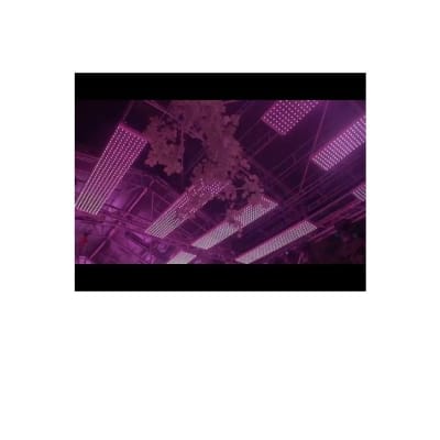 Martin VC-Grid 60 Creative 8x8 LED Video Tile | Reverb