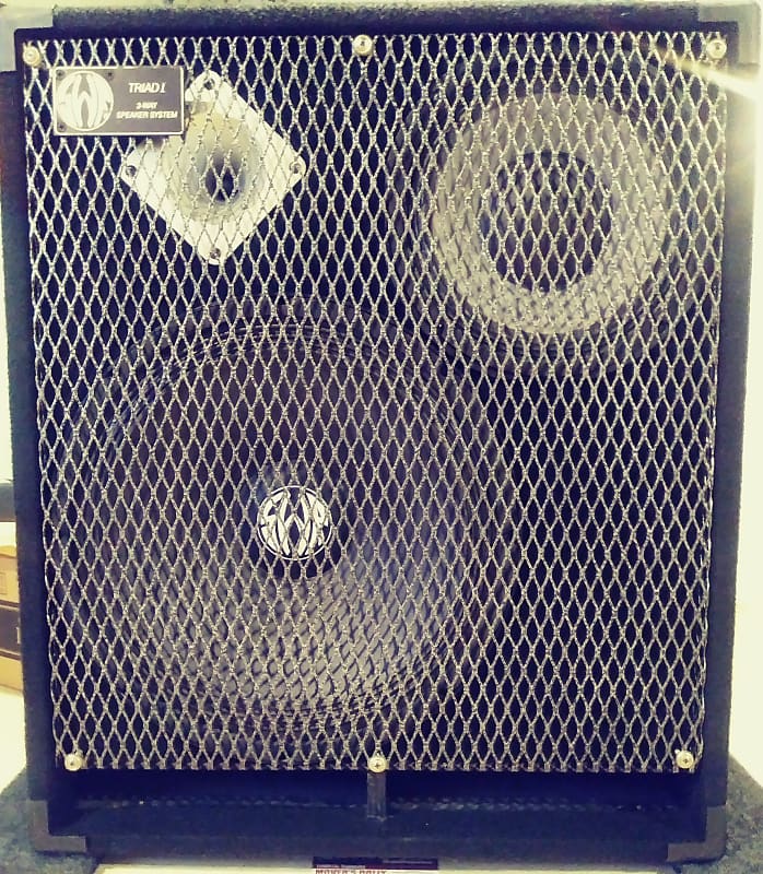 SWR Triad 1 bass cabinet | Reverb
