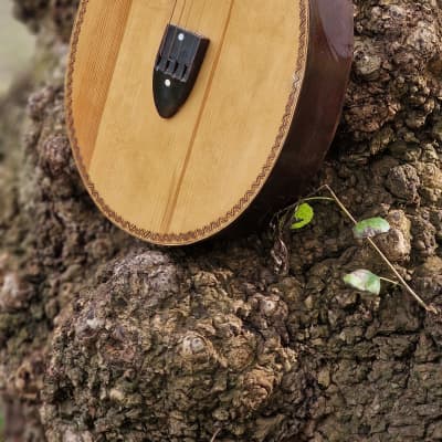 Kobza 4 String Acoustic Guitar Vihuela Ukrainian Folk | Reverb