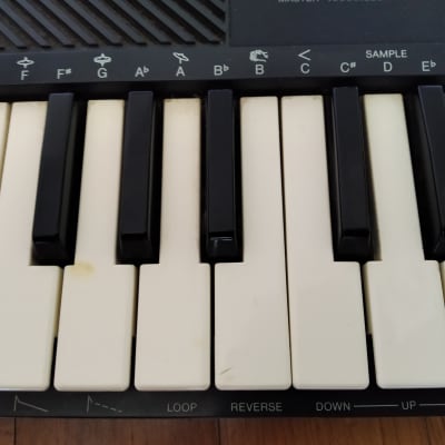 HOHNER PK-60 LOFI SAMPLING KEYBOARD (1988) - IDENTICAL TO | Reverb