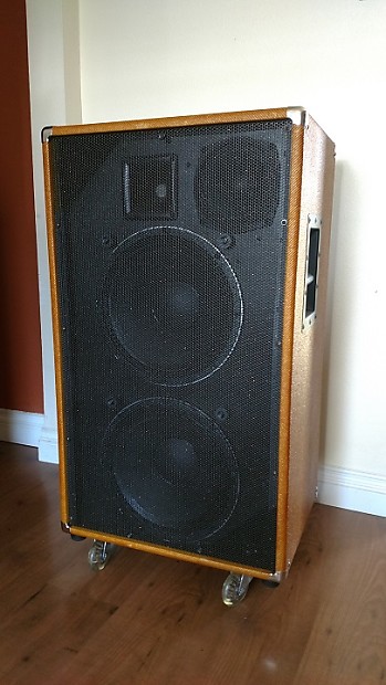 Low Down Sound (LDS) Custom 900W 1212/6/1 Bass Cabinet Tweed | Reverb