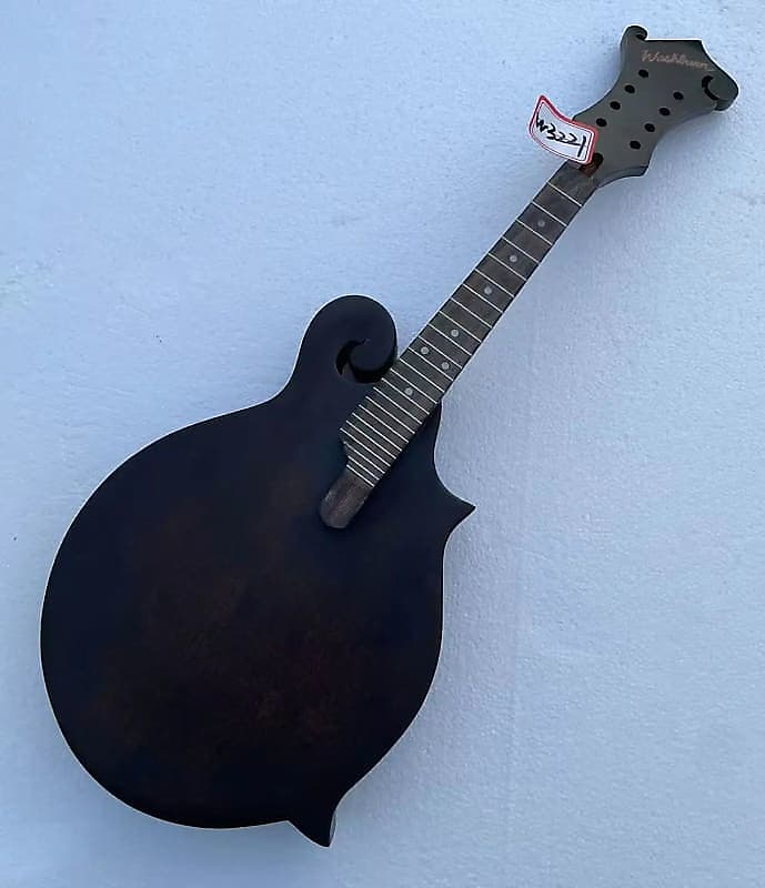 Washburn 8 String Mandolin, Mahogany Body and Neck, | Reverb UK