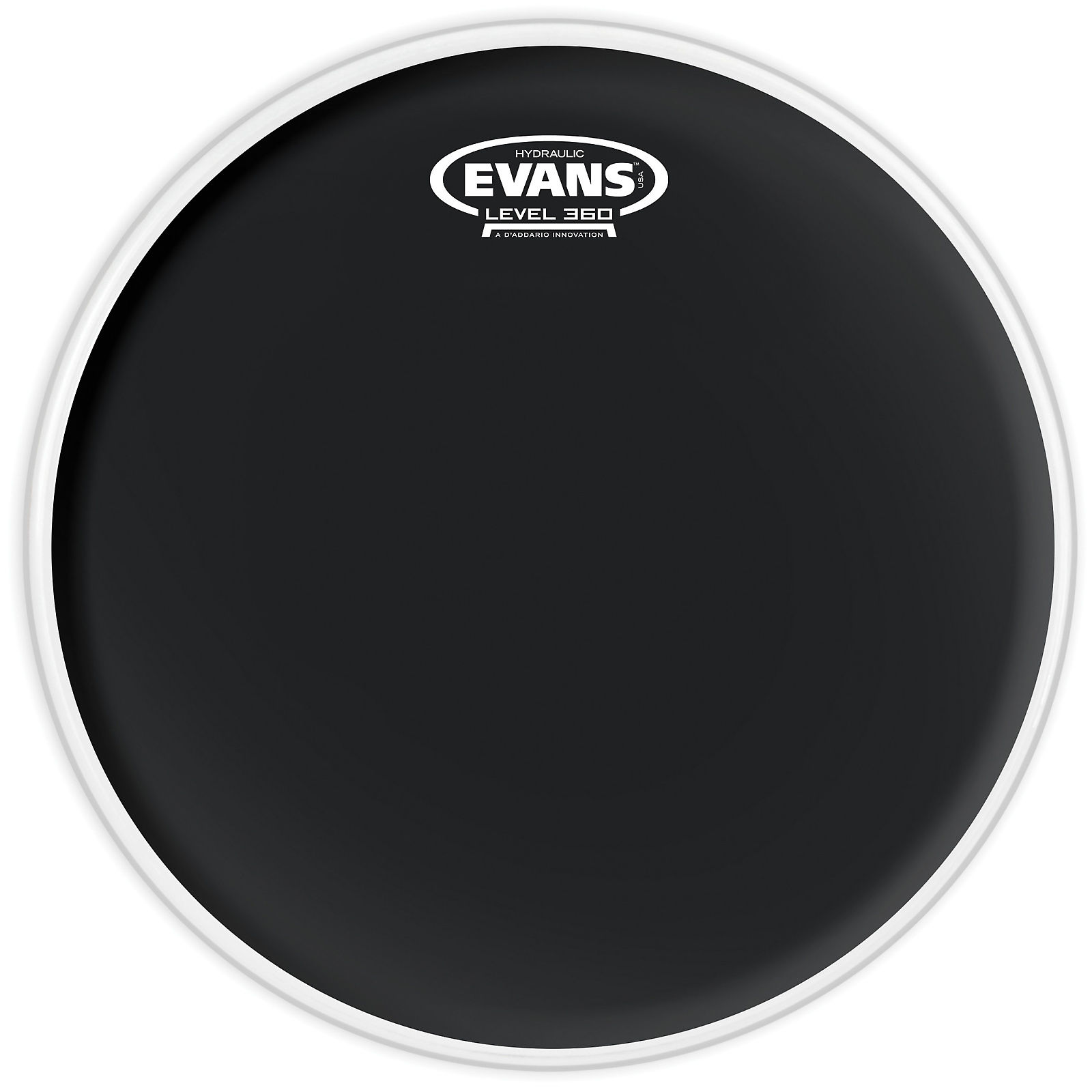 Evans 12" Hydraulic Black | Reverb