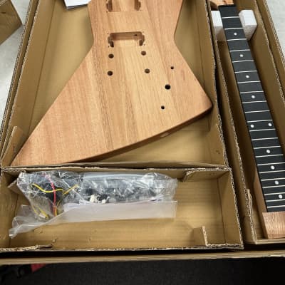 Generic Explorer DIY Guitar Kit | Reverb