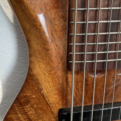 Roscoe SKB 3006 Koa 6 String Bass 2000s | Reverb
