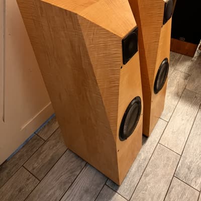 Avalon Eclipse Floor Standing Speakers | Reverb
