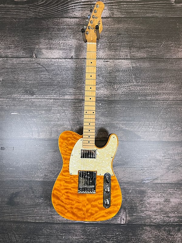 Michael Kelly Sammzo Telecaster Electric Guitar (Orlando, Lee | Reverb