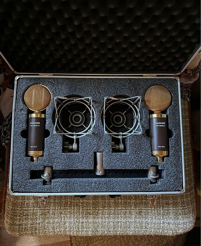 CASCADE FAT HEAD II RIBBON MICROPHONE (x2) 2000’s W/ Case | Reverb