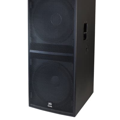 Peavey SP218 v2 Passive Subwoofer | Reverb