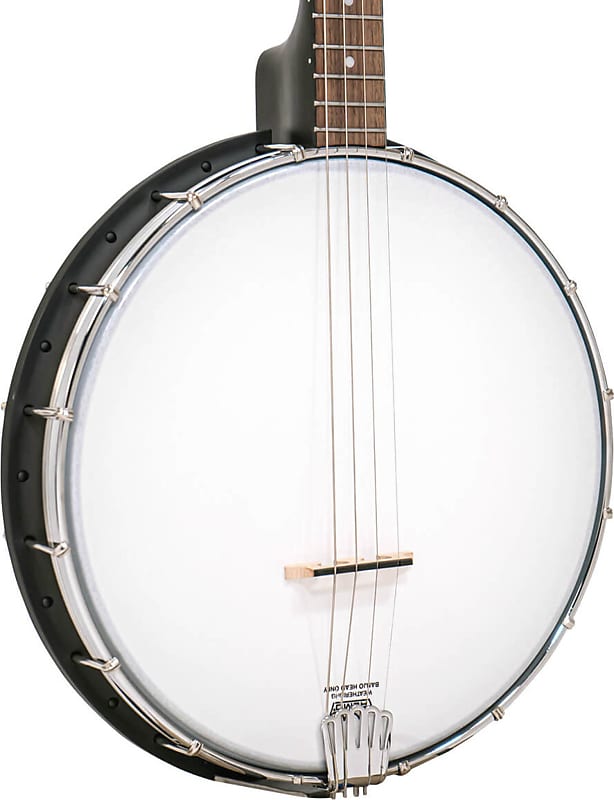 Gold Tone AC-4 Acoustic Composite 4-String Tenor Open-Back | Reverb