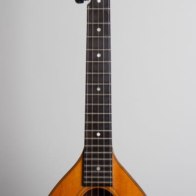 August Pollmann Royal Mandolin Banjo, c. 1890, brown | Reverb